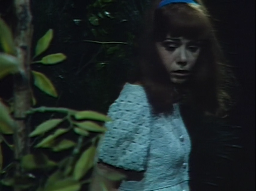 forever dreaming transcript – Dark Shadows Commentary